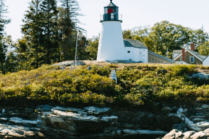 Boothbay Harbor Whale Watching Cruise | Cap'n Fish's Cruises